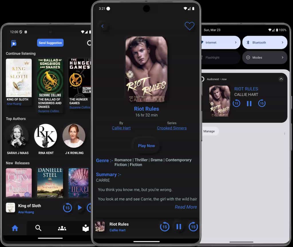 Riot Rules - Free Audiobook